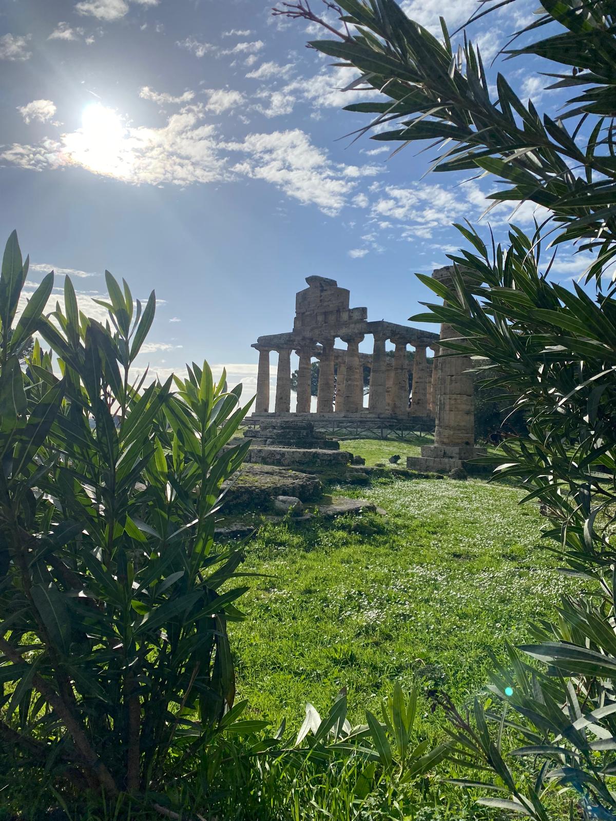 Apply Now - Pantheon Institute